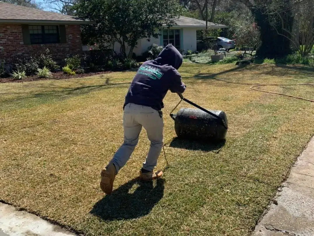 Essential Tools Every Homeowner Needs for Lawn Care