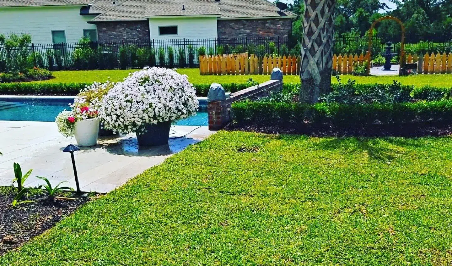 Expert Lawn Care Guide to Keeping Grass Green in Summer